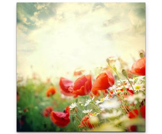 Paul Sinus Art Leinwandbilder | Bilder Leinwand 90x90cm Mohnblumen im Sonnenschein