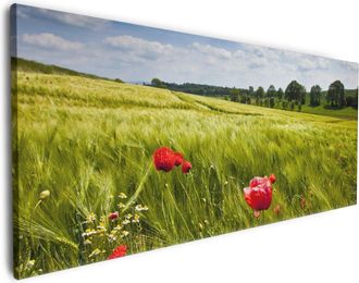 Wallario XXL Leinwandbild Mohnblumenwiese auf gr&uuml;ner Wiese unter blauem Himmel - Wandbild 60 x 150 cm Brillante lichtechte Farben, hochaufl&ouml;send, verzugsfrei, 