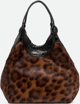 Gianni Chiarini DUA