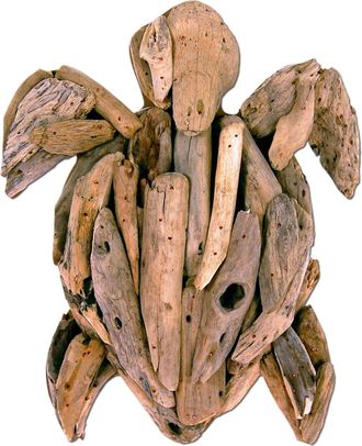 Seestern Sportswear SEESTERN Treibholz Deko m. Schildkr&ouml;te (30 cm) Motiv Wanddeko Driftwood Holzdeko /FBA_1324