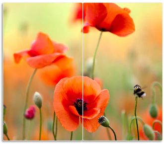 Wallario Herdabdeckplatte/Spritzschutz aus Glas, 2-teilig, 60x52cm, f&uuml;r Ceran- und Induktionsherde, Mohnblumenbl&uuml;ten