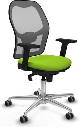 Piqueras y Crespo B&uuml;rostuhl mit 2D-Armlehnen, h&ouml;henverstellbare Lendenwirbelst&uuml;tze, mit 5 Positionen und injiziertem Schaumstoff, Grau/Pistazie