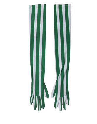 Dolce & Gabbana Green White Stripes Nylon Elbow Length Women Gloves Elastane