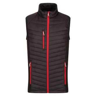 Regatta Professional Herren Mens Navigate Hybrid Isolierte Bodywarmer, schwarz/grün, XXL