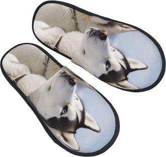 Generic Chaussons Chiens Husky Avec Semelle Caoutchouc Pantoufles En Coton Légers Chaussons Maison Pour De Camping Outdoor Voyage M