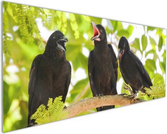 Wallario K&uuml;chenr&uuml;ckwand aus Glas 125 x 50 cm, Motiv: Kr&auml;hen im Gespr&auml;ch | Spritzschutz abwischbar & pflegeleicht