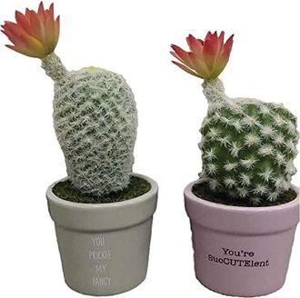 DKD Home Decor dekopflanze, Estándar