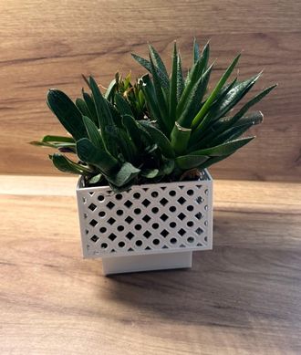 Kimmel 2 St&uuml;ck &Uuml;bertopf eckig 13 cm wei&szlig; im Set, Blumen&uuml;bertopf f&uuml;r Zimmerpflanzen Orchideentopf Pflanztopf Blumentopf Deko Topf Pflanzk&uuml;bel