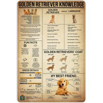 Generic Metall Schilder Golden Retriever Wissen,Deko Blechschild,B&uuml;ro,Garten,Wanddeko,Geburtstag M