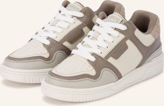 AllSaints Allsaints Sneaker Regan Plus grau