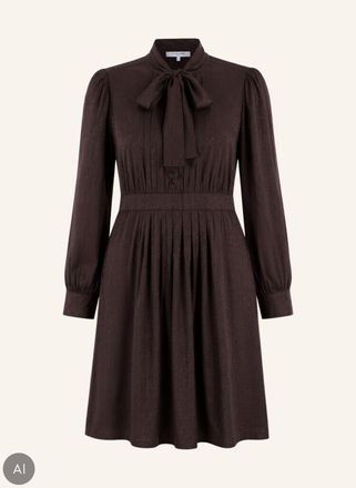 Gerard Darel Kleid Cleme braun