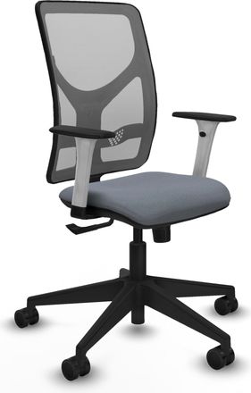 Piqueras y Crespo Schreibtischstuhl, Grau, Rollen mit wei&szlig;en und schwarzen Armlehnen, h&ouml;henverstellbare Lendenwirbelst&uuml;tze, ausgestattet mit 3 Positionen, Grau/Grau