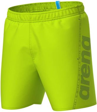 Arena Herren Fundamentals Logo R Boxer Beach Shorts