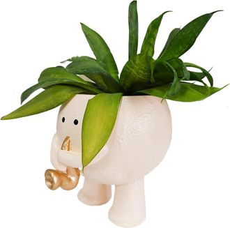 Generic Niedlich l&auml;chelnd l&auml;chelnd - Saxophon Harz Sukkulentopf Kreative Kleine Pflanze | Garten Deko mit Drainage, Atmungsaktiver Blumentopf f&uuml;r Hof f&uuml;r und