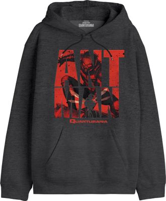 MARVEL Herren Meantmmsw021 Kapuzenpullover, MEHR Anthracite, L