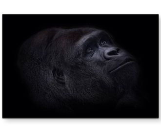 Paul Sinus Art Leinwandbilder | Bilder Leinwand 120x80cm Dunkles Portrait eines Gorillas