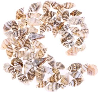 Cabilock 50 Stück Teiliges Natürliche Kleine Meeresschnecken Muscheln für Strand Deko und Aquarium Dekoration Geeignet für Bastelprojekte und Wohnraumgestaltun