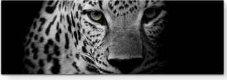 Paul Sinus Art Leinwandbilder | Bilder Leinwand 150x50cm Portrait eines Leoparden schwarzwei&szlig;