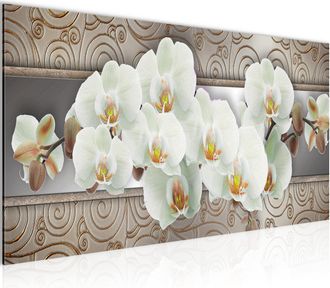 Runa Art Wandbild Blumen Orchidee 1 Teilig 100 x 40 cm Modern Bild auf Vlies Leinwand Abstrakt Wohnzimmer Beige Braun 204812a