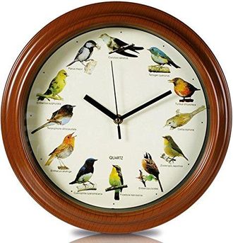 Out of the Blue 79/3151 - Wanduhr mit Vogelstimmen, Durchmesser ca. 33 cm, aus Kunststoff, batteriebetrieben, im Geschenkkarton, Bunt