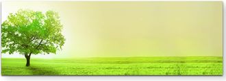Paul Sinus Art Leinwandbilder | Bilder Leinwand 120x40cm grünes Feld mit Baum