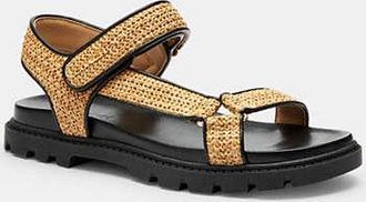 Coach Sport Sandal