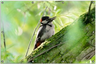 Wallario Outdoor-Poster f&uuml;r Garten oder Balkon Specht im gr&uuml;nen Versteck, Motivbanner Gr&ouml;&szlig;e: ca. 100 x 150 cm, Outdoor-Bild