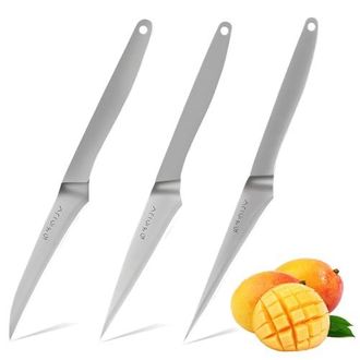Plys Acier inoxydable Petit ensemble de 3 couteaux de cuisine avec manche en bois : Couteau &agrave; l&eacute;gumes, couteau &agrave; fruits, couteau doffice, acier inoxydable,