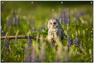 Wallario Outdoor-Poster f&uuml;r Garten oder Balkon Kauz im Bl&uuml;tenmeer, Motivbanner Gr&ouml;&szlig;e: ca. 100 x 150 cm, Outdoor-Bild