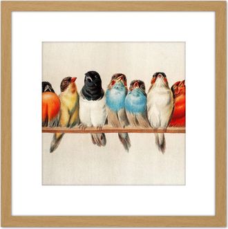Artery8 Giacomelli Warum der Vögel Kunstplakat Gerahmter Kunstdruck 20x20 cm