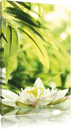 Pixxprint Weiße Seerose im Wasser Wellness als, Größe: 100x70cm, Leinwandbild, fertig gespannt, Wandbild, Dekoration, Kunstdruck, kein Poster