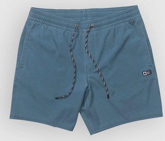 Salty Crew Seadog Volley Boardshorts hydro