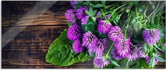 Pixxprint Glasbild Panorama, Wandbild aus Echtglas, Kleeblüten auf Holz, 100x40 cm, inkl. Aufhängung und Abstandshalter