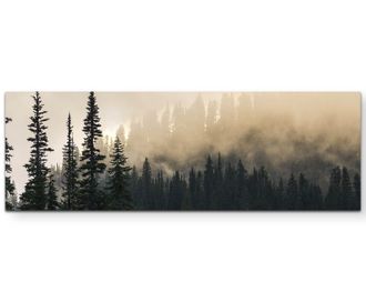 Paul Sinus Art Leinwandbilder | Bilder Leinwand 120x40cm Wald im Nebel