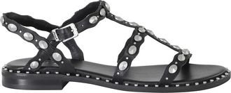 Ash Ash, Femme, Chaussures, Noir, Taille: 40 EU Soft Brasil Sandal