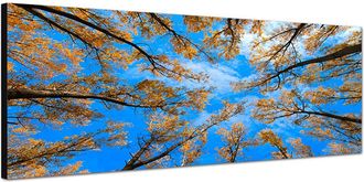 Paul Sinus Art Sinus Art Wandbild 150x50cm Baumkronen Wald Herbst Himmel