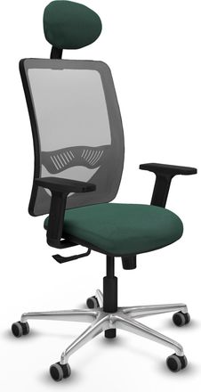 Piqueras y Crespo Gr&uuml;ner B&uuml;rostuhl Zulema mit 2D-Armlehnen, h&ouml;henverstellbarer Lendenwirbelst&uuml;tze und festem Kopfteil, ausgestattet mit Sincro 3 Positionen und Schneide