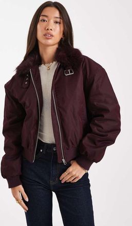 Cotton On Astro - Bomberjacke in Noble Plum mit Kragen-Rot