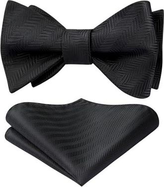Hisdern Noeud Papillon Homme Noir Formelle Mariage Noeud Papillon et Pochette Homme de Classique Affaires Élégant Fete