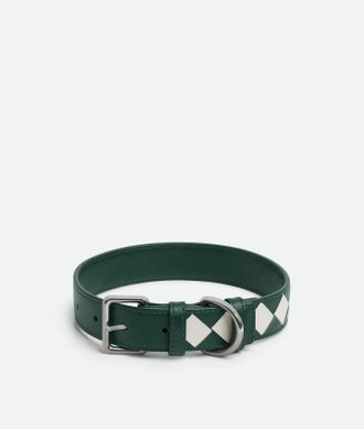 Bottega Veneta Collier Pour Chien Intrecciato Moyen Format - Bottega Veneta