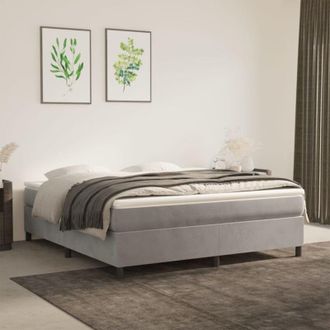 vidaXL Bettgestell ohne Matratze Hellgrau 160x200 cm Samt Vidaxl