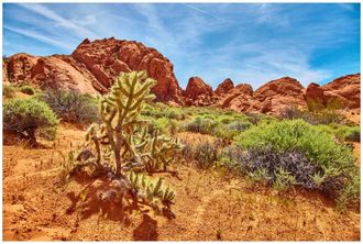 Wallario K&uuml;chenr&uuml;ckwand aus Glas 90 x 60 cm, Motiv: Felsenw&uuml;ste | Spritzschutz abwischbar & pflegeleicht