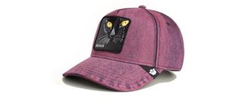 Goorin Brothers Goorin Bros Casquette Rail Bird Panther