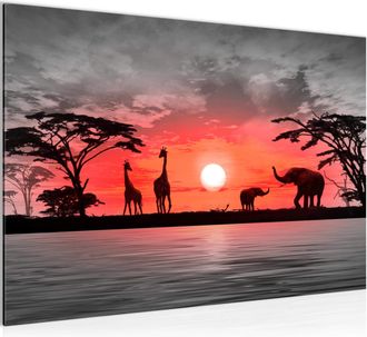 Runa Art Bild Afrika Sonnenuntergang Modern Wandbilder Wohnzimmer Schlafzimmer 1 Teilig - Made In Germany - Panorama Rosa Grau Flur 000215b