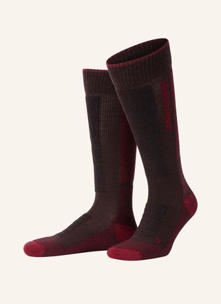 Icebreaker Skisocken Merino Blend Ski+ rot
