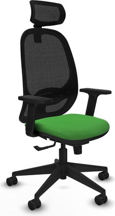 Piqueras y Crespo Schreibtischstuhl mit Rollen von Cilanco mit 2D-Armen, h&ouml;henverstellbare Lendenwirbelst&uuml;tze und h&ouml;henverstellbares Kopfteil und Neigung, Schwarz/Gr&uuml;n