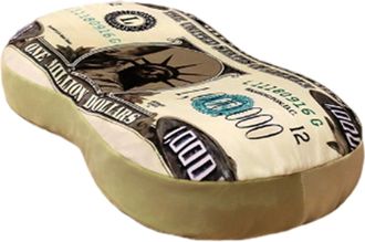 Generic Bargeld-Schlafkissen - Bargeldpolster, Bargeldkissen Pl&uuml;sch, 13x9 Zoll Geldschein-Druckkissen | Nickerchenkissen, Witzige Geldnoten Im Trendigen Look,