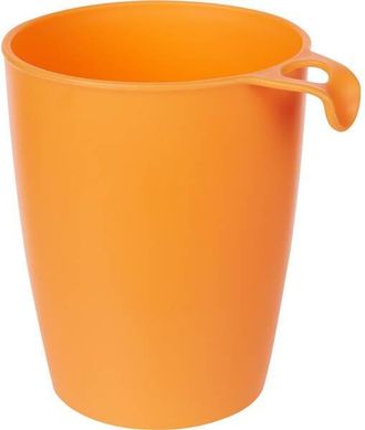 McKinley Becher CUP PP