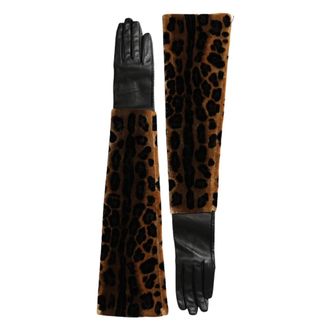 Dolce & Gabbana Elbogenlange Handschuhe - - Accessories - Damen - Braun - ONE SIZE