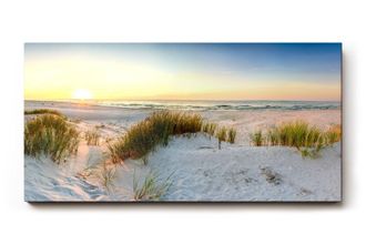 Paul Sinus Art Sinus Art Wandbild 120x60cm Wei&szlig;e D&uuml;nen mit Gr&auml;sern bei sanftem Sonnenlicht f&uuml;r beruhigende Raumwirkung